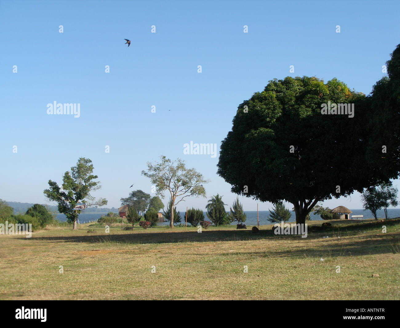 Camp Crocs resort on Lake Victoria Stock Photo - Alamy