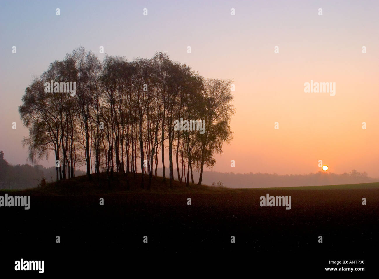 Uelsen hi-res stock photography and images - Alamy