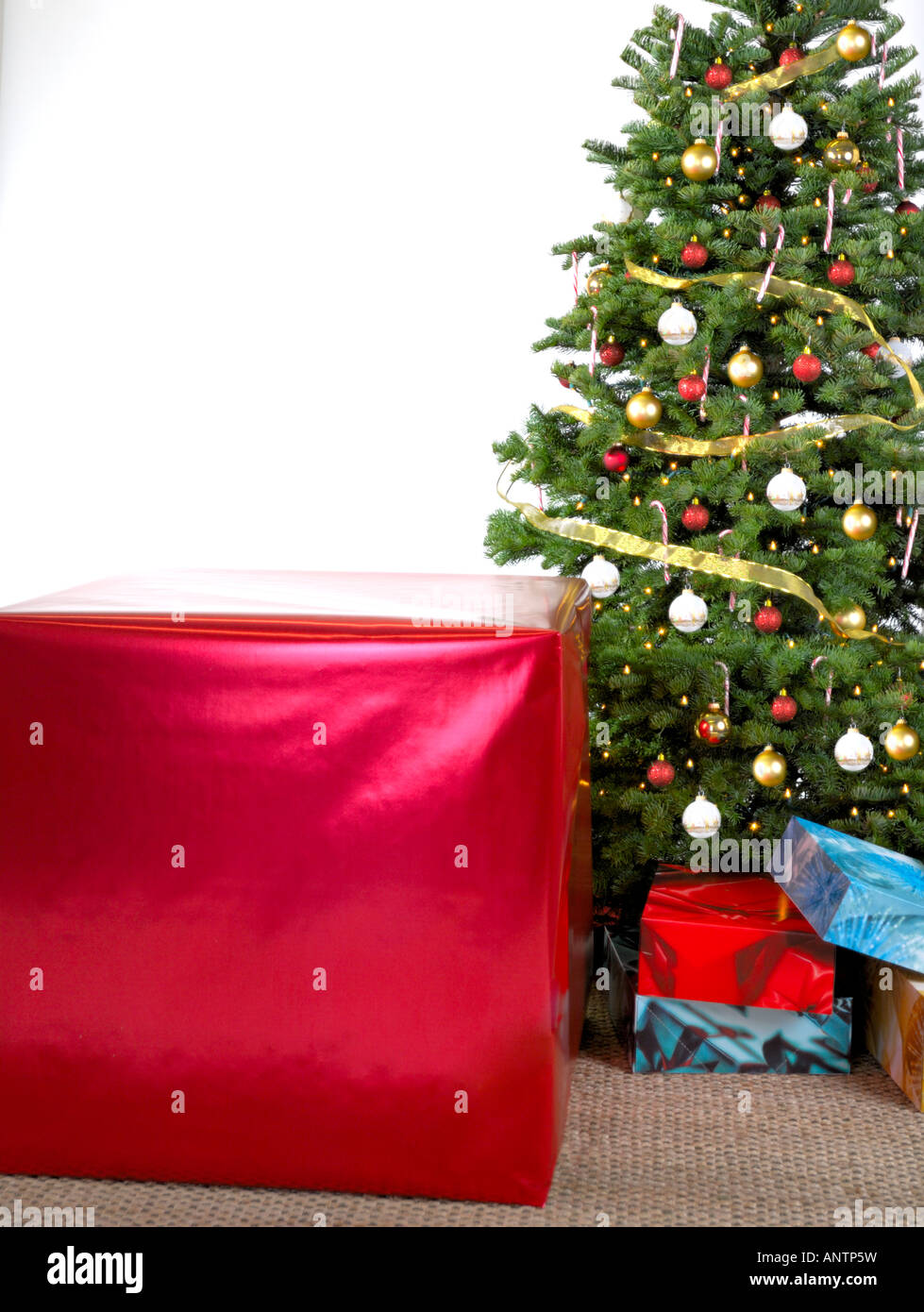 Giant gift box tree hi-res stock photography and images - Alamy