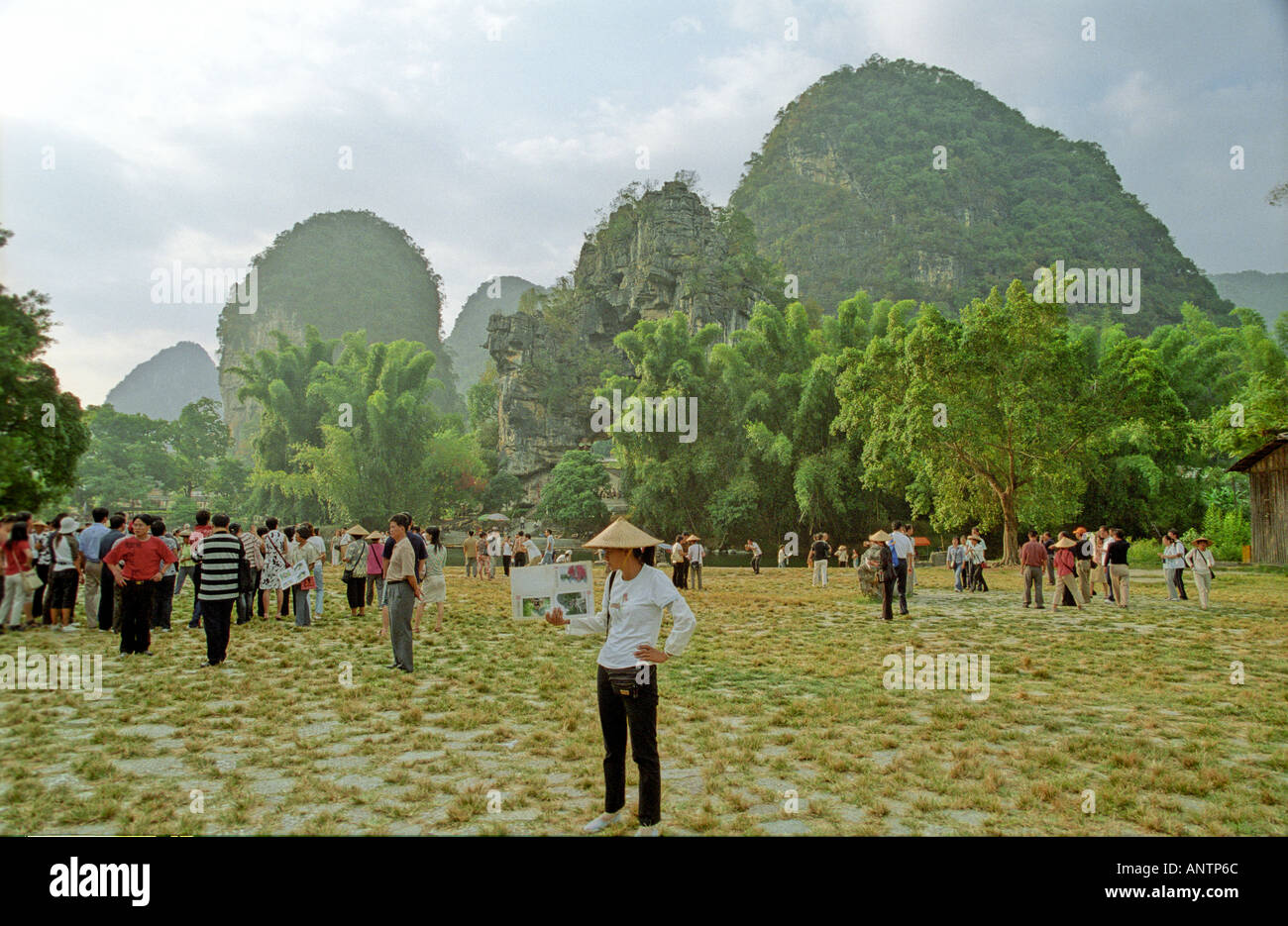Yangshuo Banyan Tree 3 CN Stock Photo - Alamy