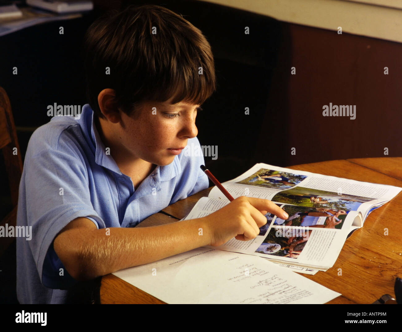 Schoolboy with homework Stock Photo - Alamy
