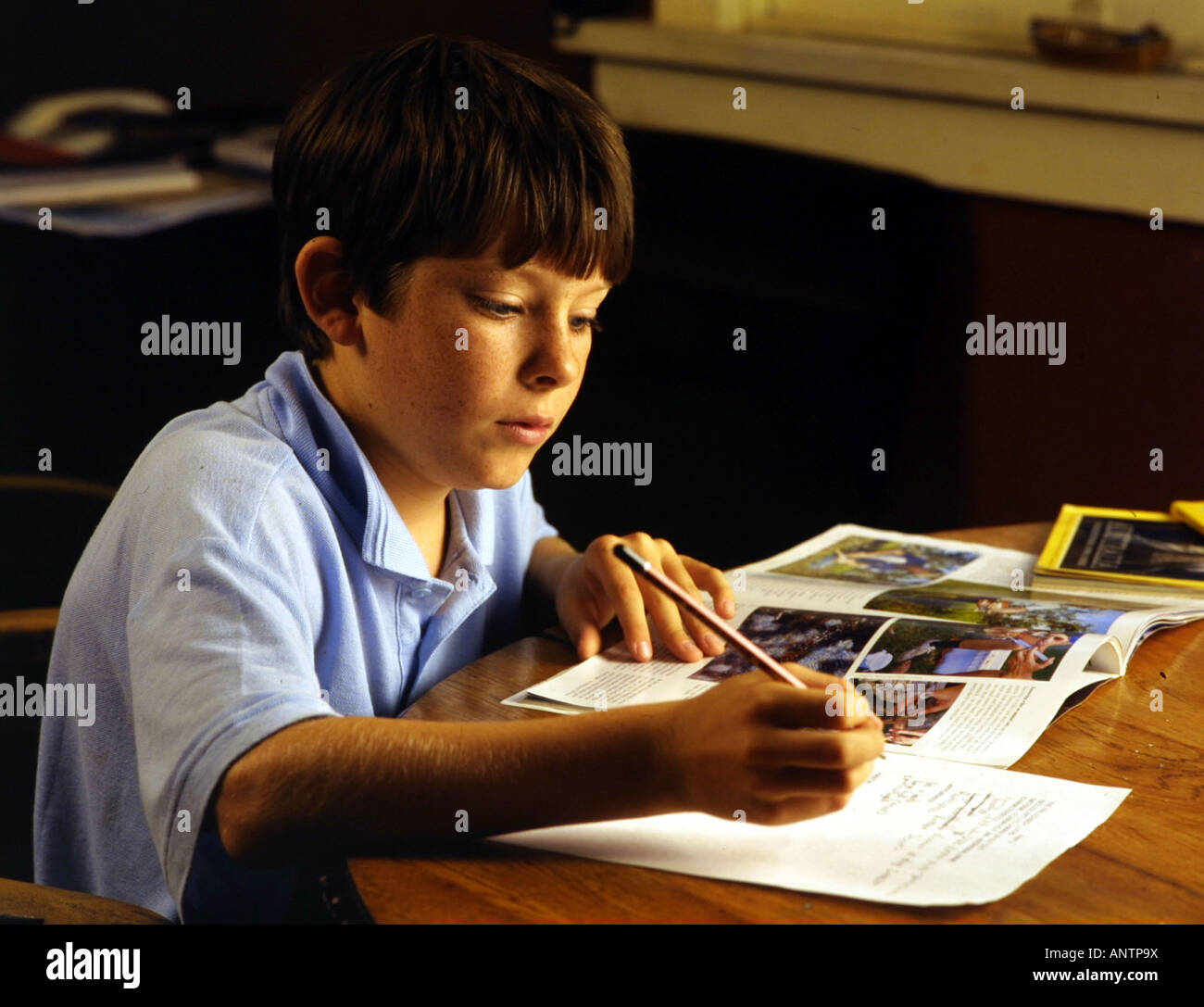 Boy with Homework Stock Photo - Alamy