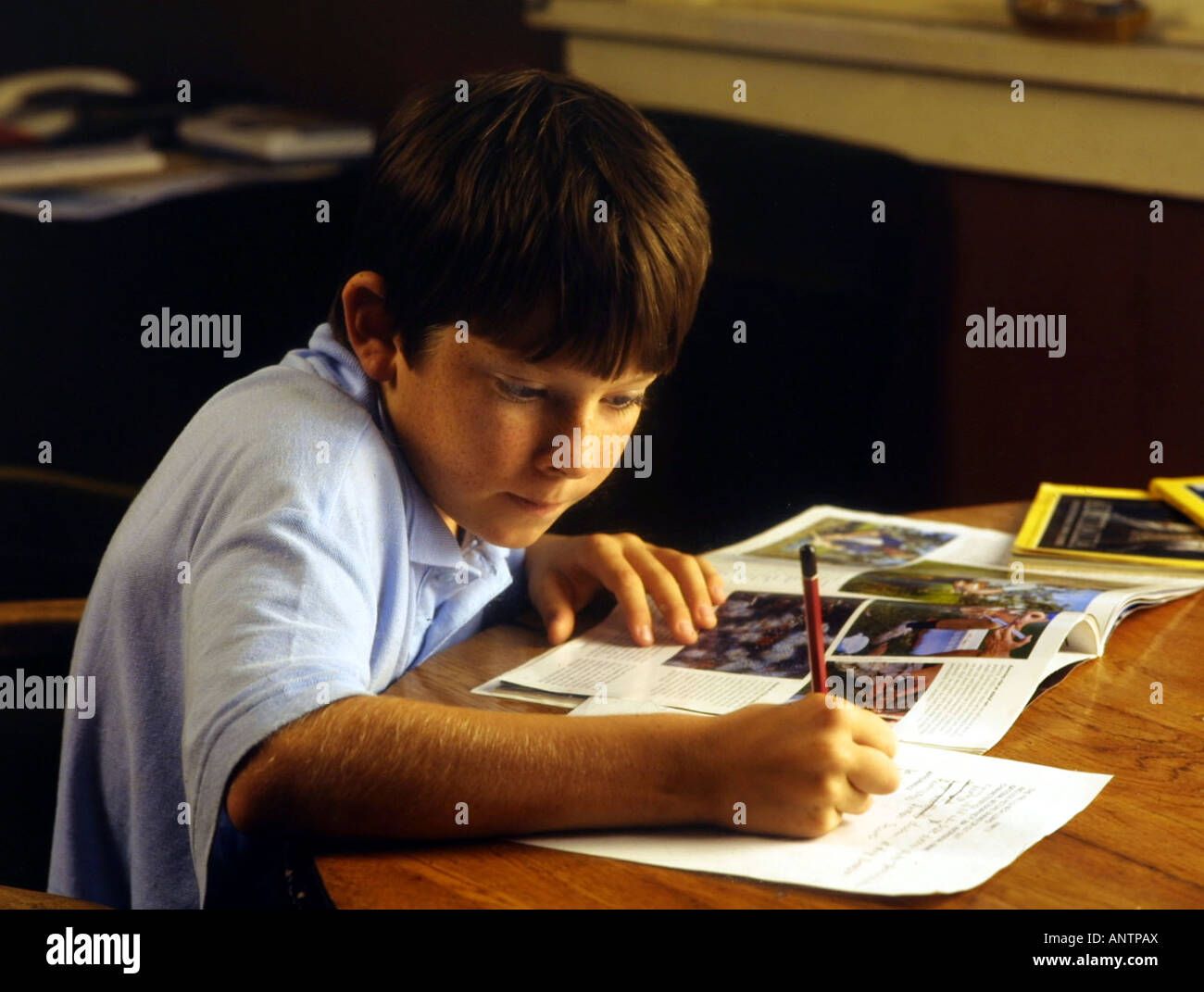 Schoolboy with homework Stock Photo - Alamy
