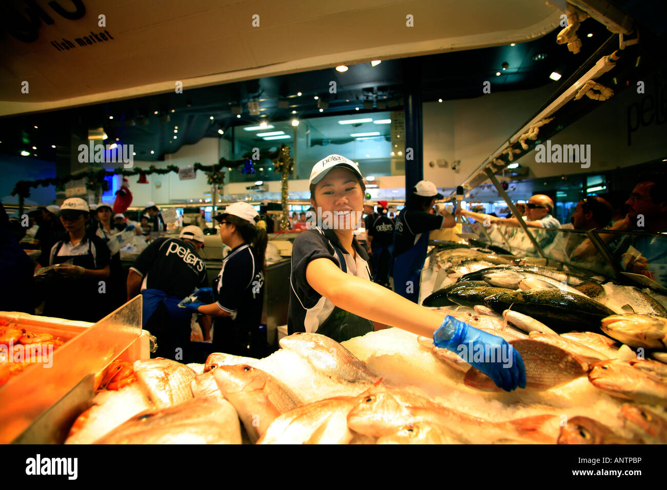 New sydney fish markets hi-res stock photography and images - Alamy