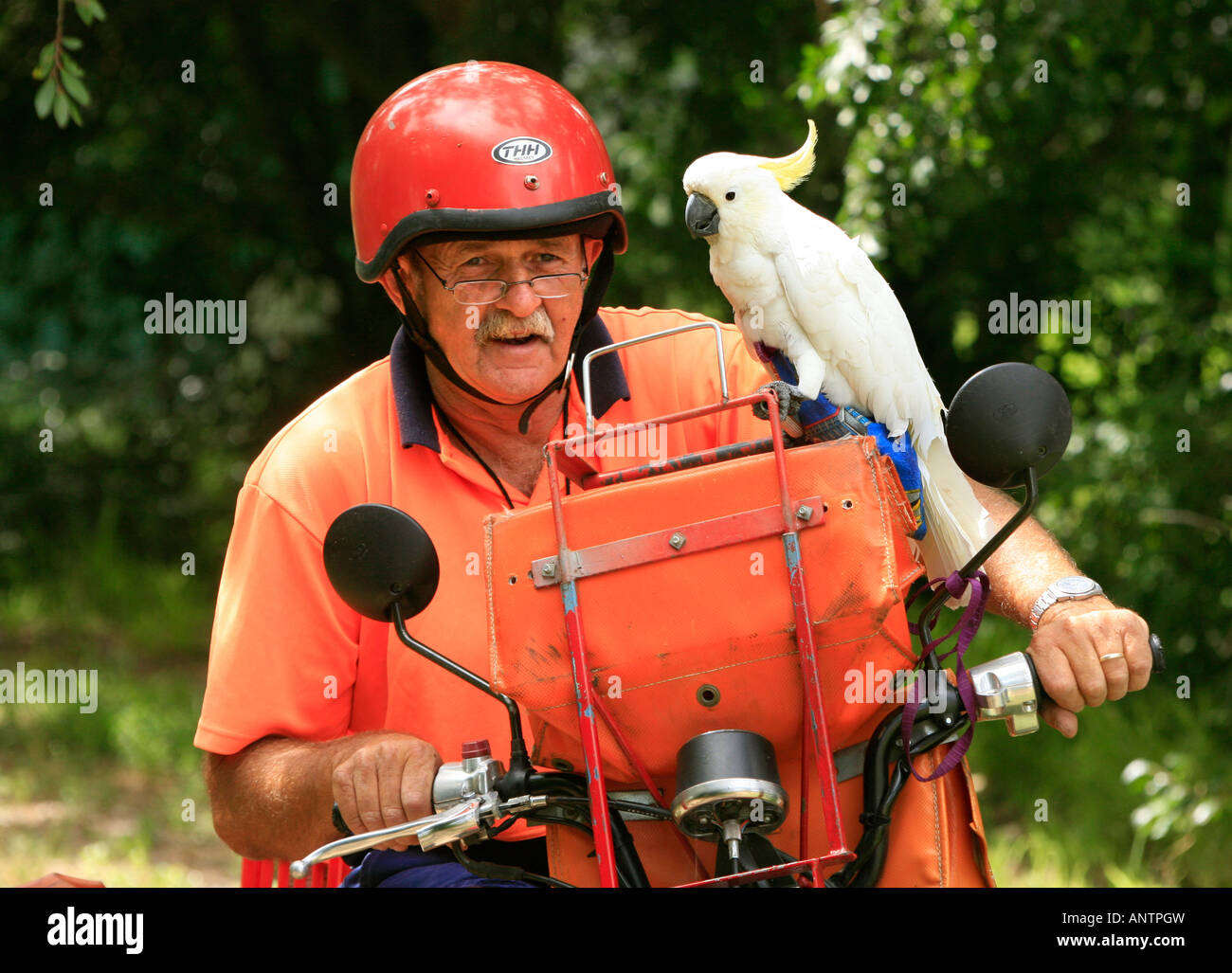 Australia Postman Bob from the Hunter Valley town of Aberdeen with his ...