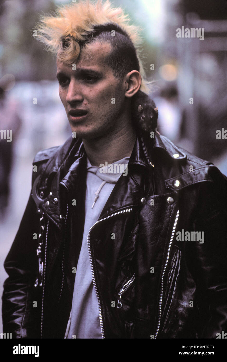 1980s punk america hi-res stock photography and images - Alamy