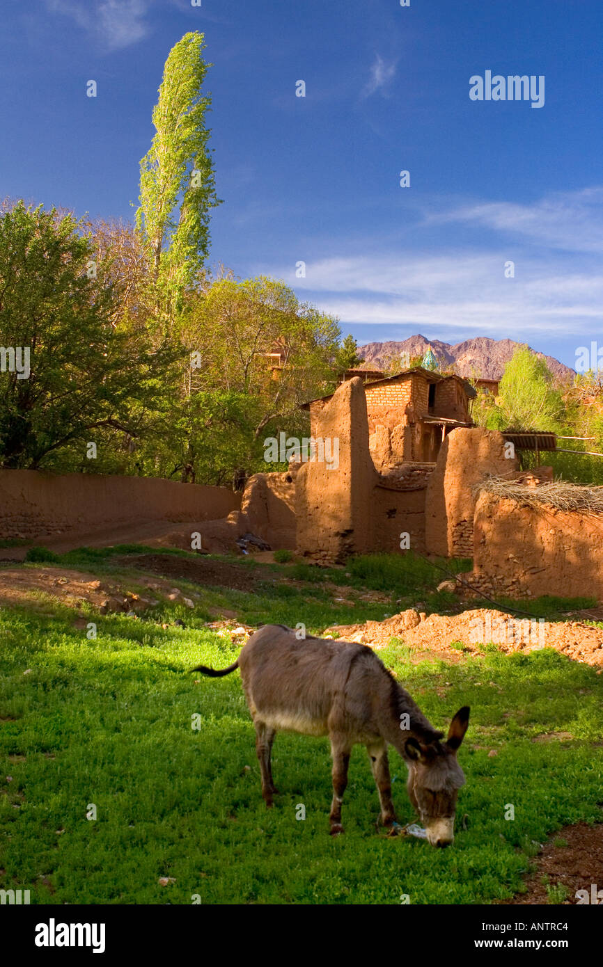 The beautiful rural village of Abyaneh near Kashan Iran Stock Photo - Alamy