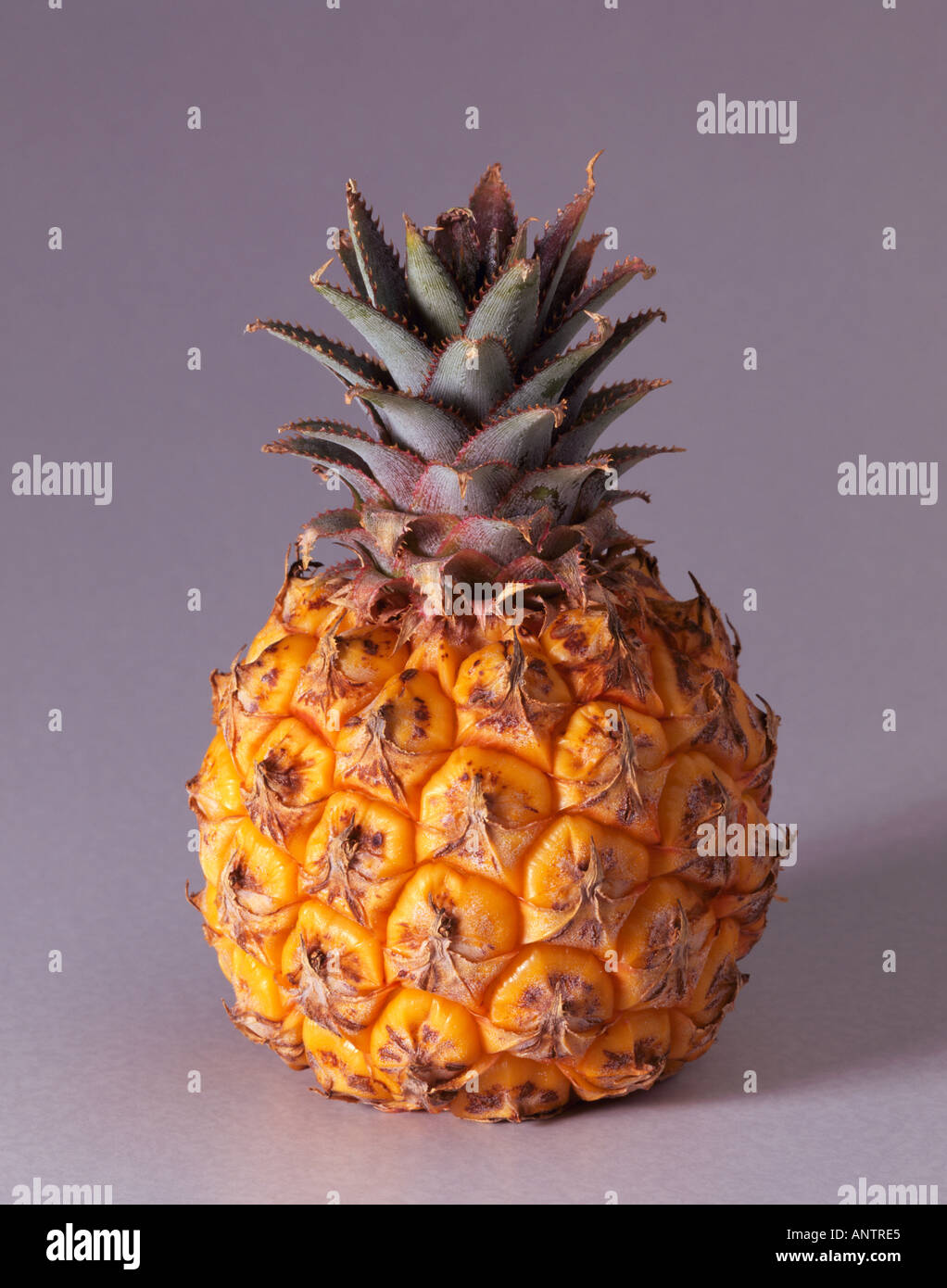 Queen pineapples hi-res stock photography and images - Alamy