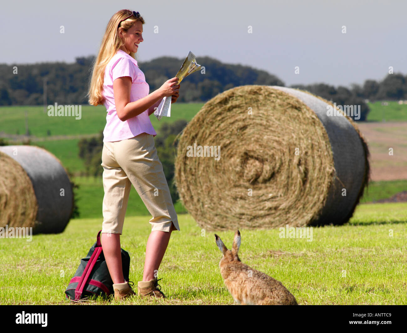 Young woman reading map, while hare looks on Stock Photo - Alamy