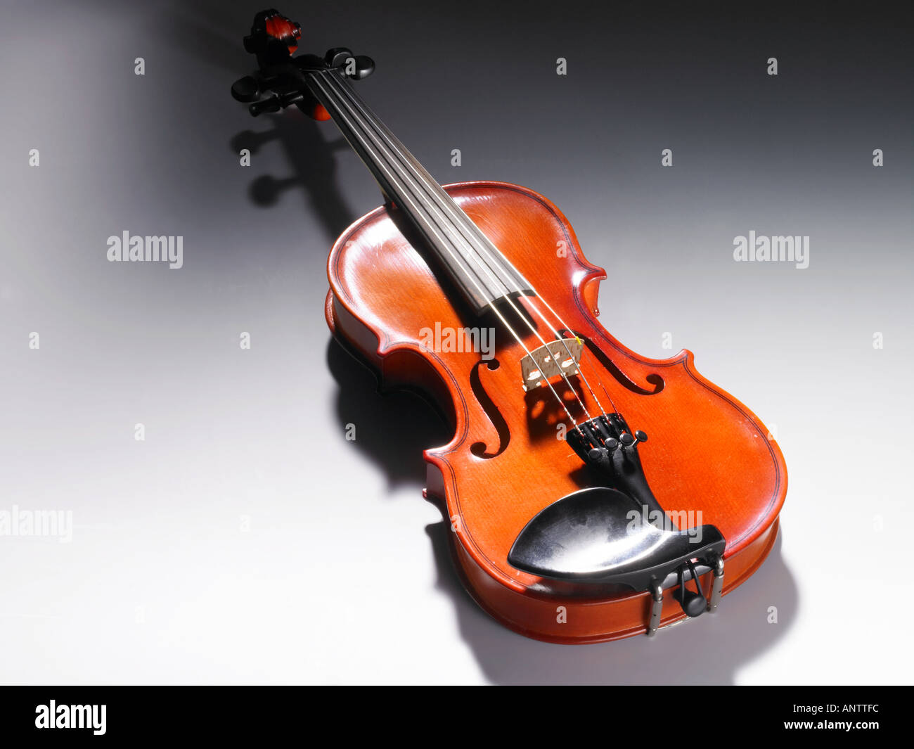 Small violin on neutral background Stock Photo - Alamy