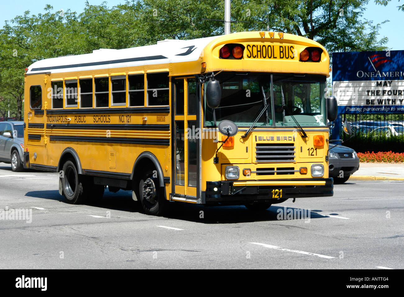 Yellow School Bus driving through the Indianapolis streets Stock Photo ...