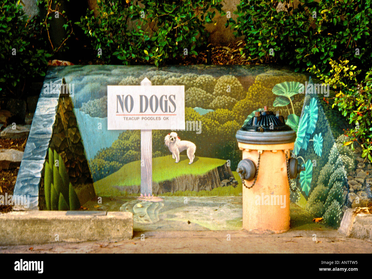 Doggy pit stop hi-res stock photography and images - Alamy