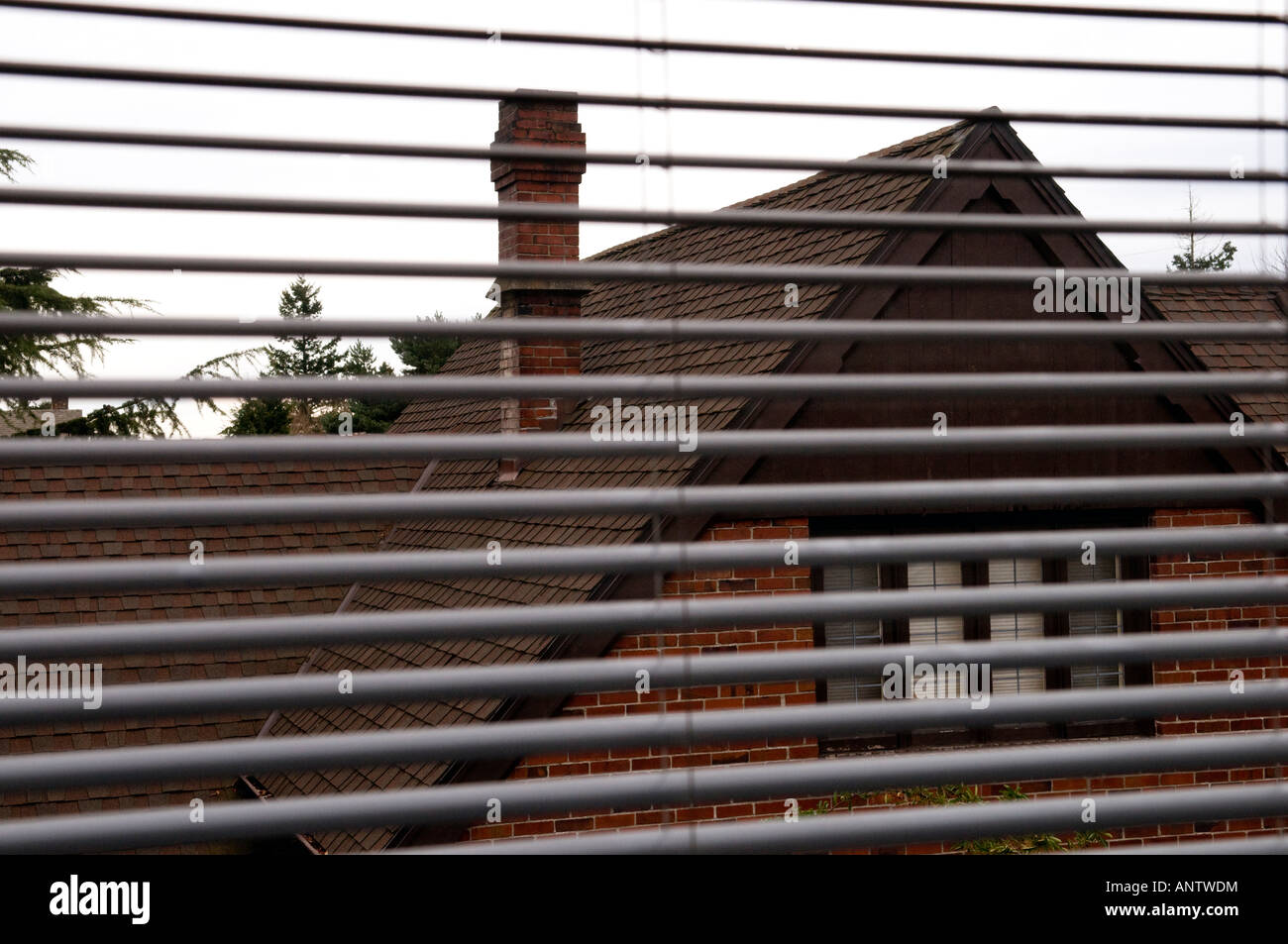 View through a window with horizontal blinds of a brick house with a ...