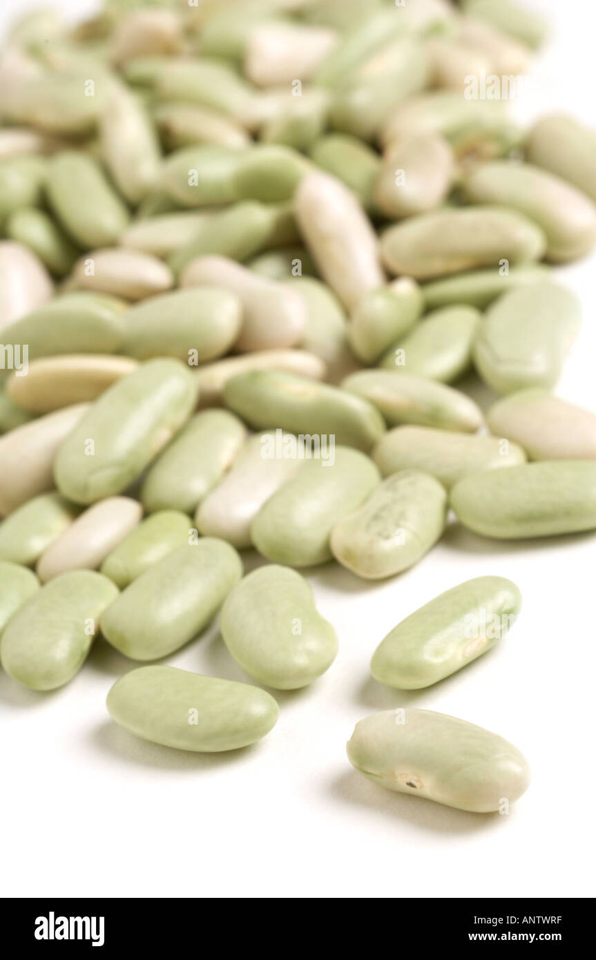 Dried Flageolet Beans on white background Stock Photo - Alamy