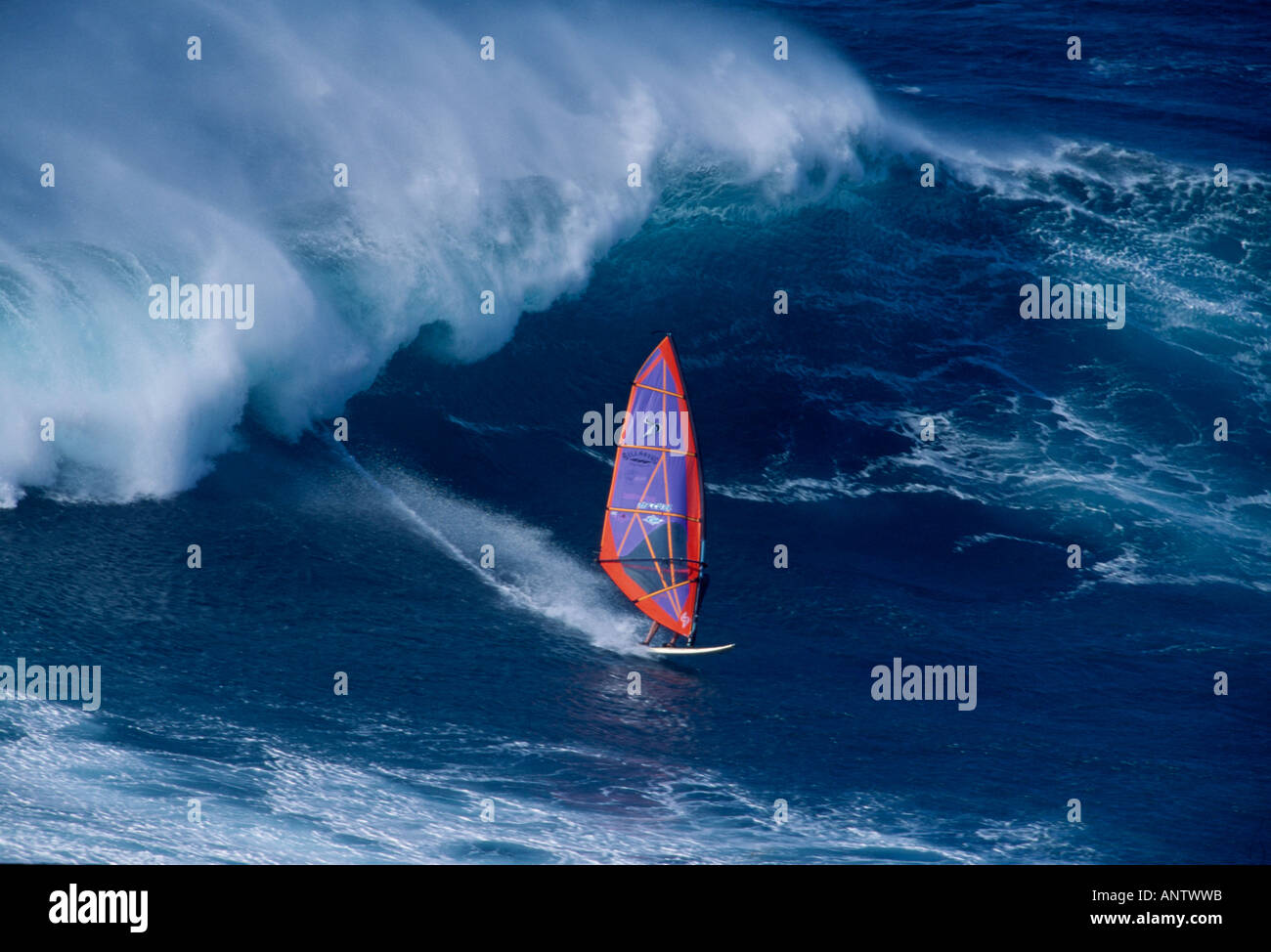 WINDSURFER RIDING WAVE Stock Photo - Alamy