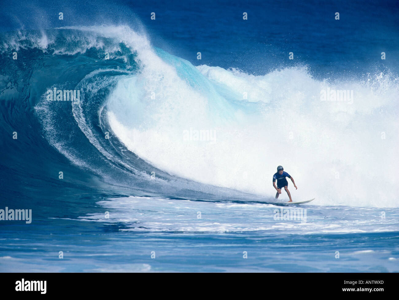 Big Wave Surfing Hawaii