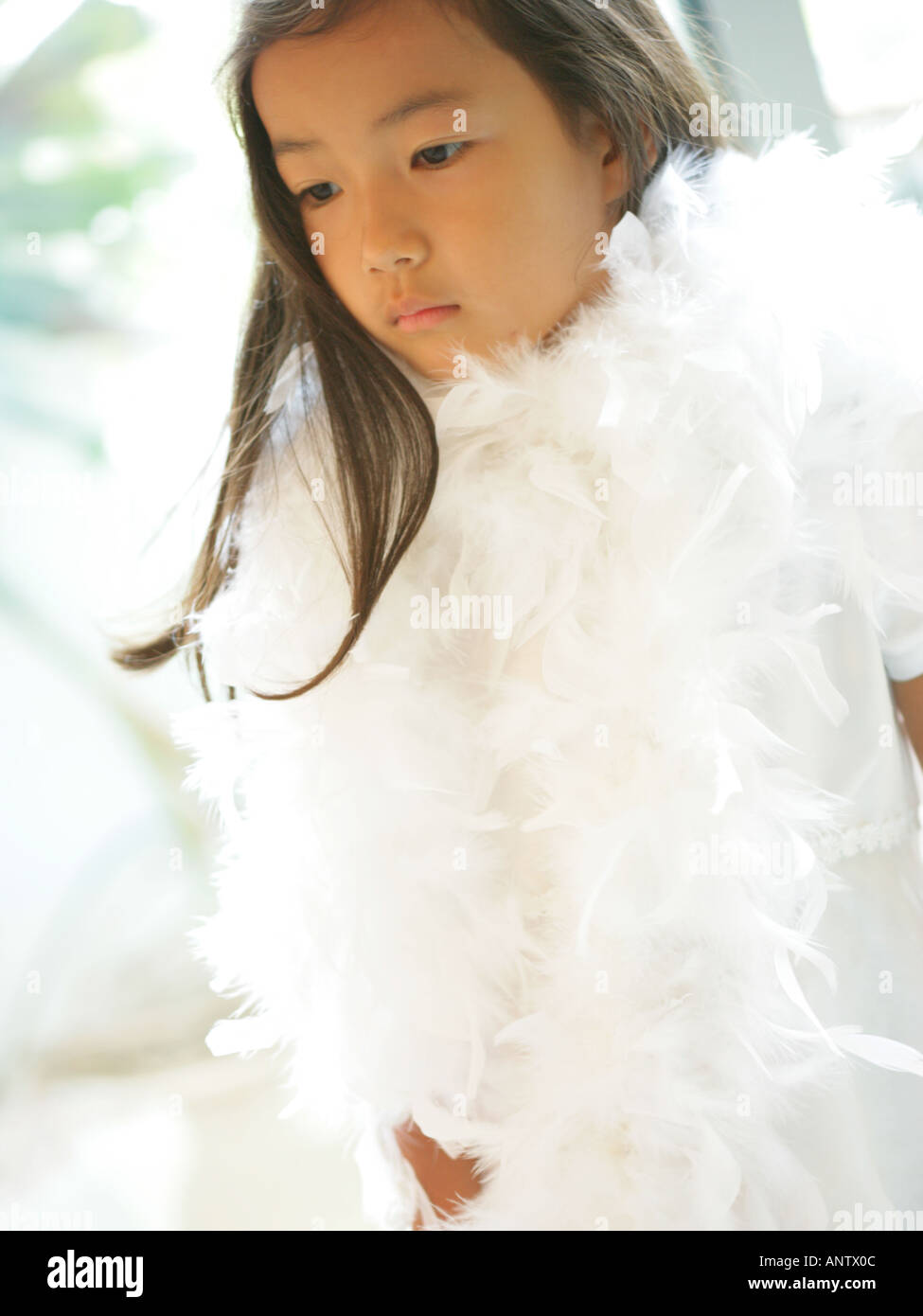 Boa formal hi-res stock photography and images - Alamy