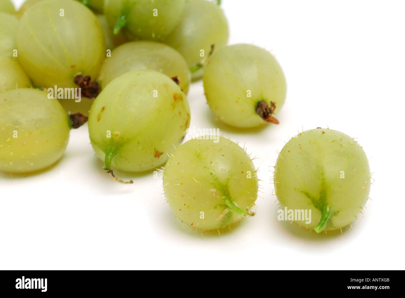 Gooseberries on white background Stock Photo - Alamy