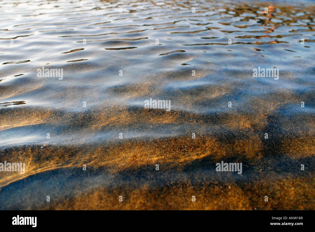 Ripples on calm shallow sea water surface Stock Photo - Alamy