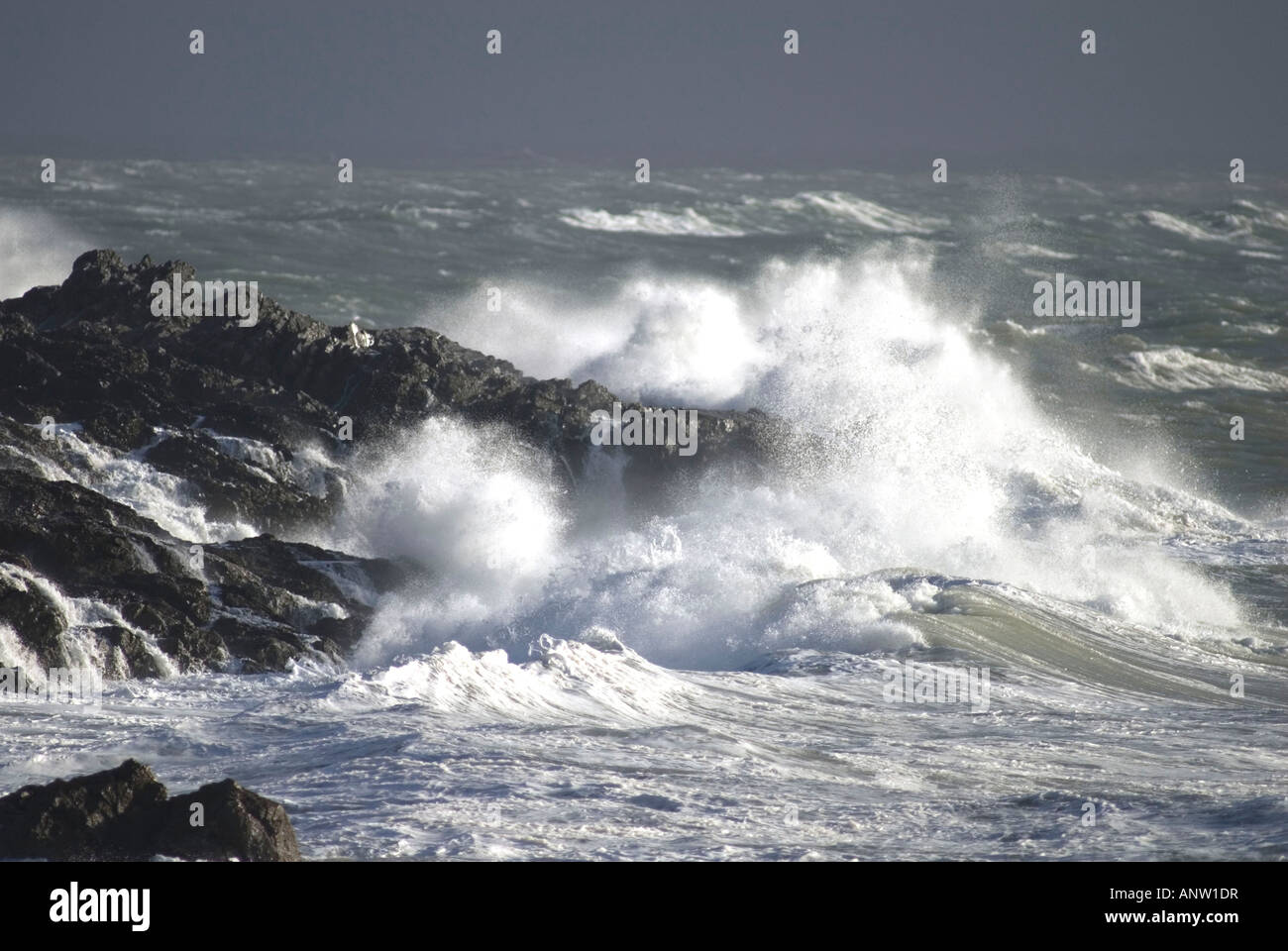 Srrf hi-res stock photography and images - Alamy