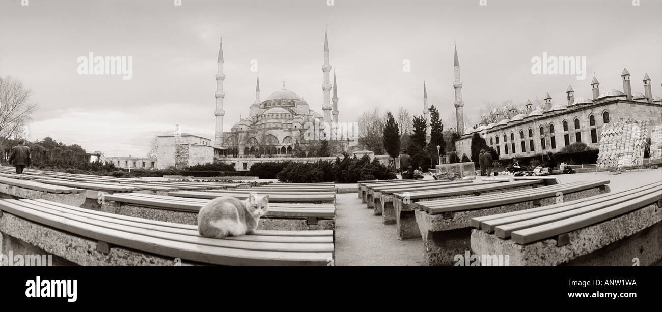 The seventeenth century Sultan Ahmed Mosque or Blue Mosque in Istanbul ...