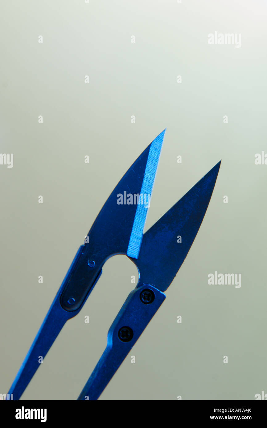 blue blades of modelling shears in closeup Stock Photo - Alamy