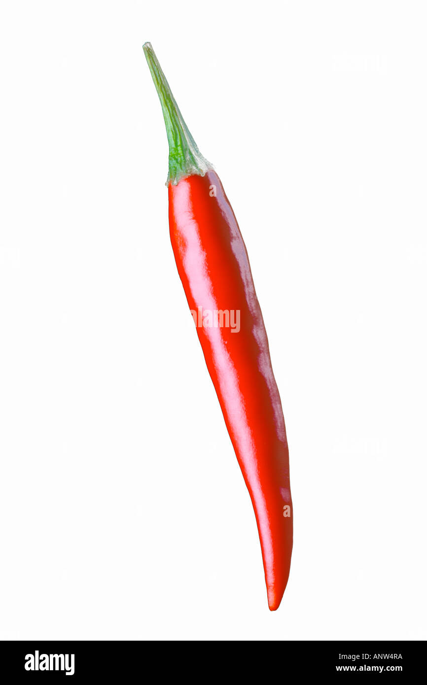 Hot bright red chilli pepper Stock Photo - Alamy