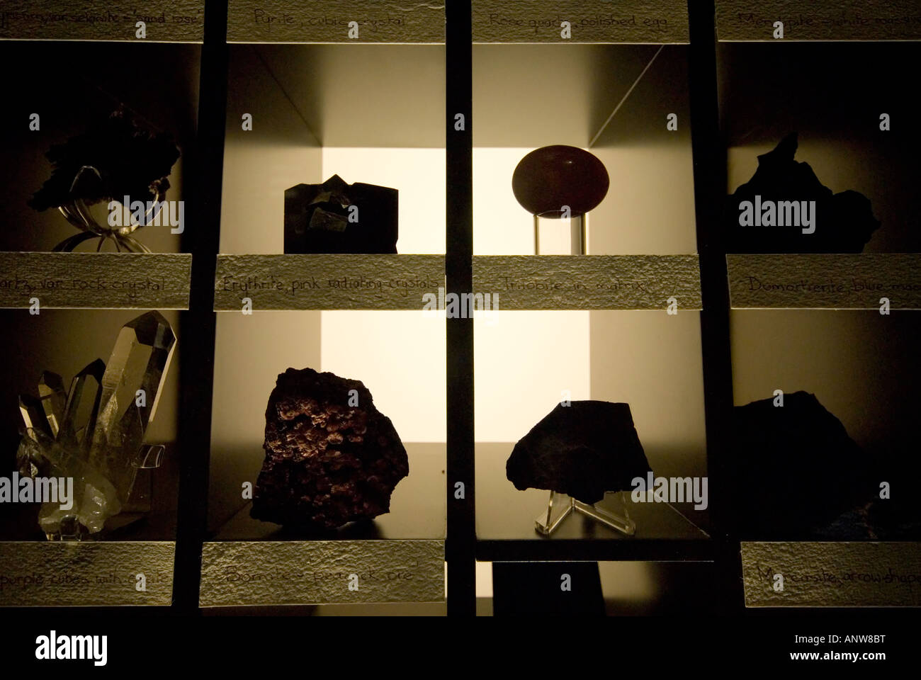 Natural History Museum stones mineral in line London Stock Photo - Alamy