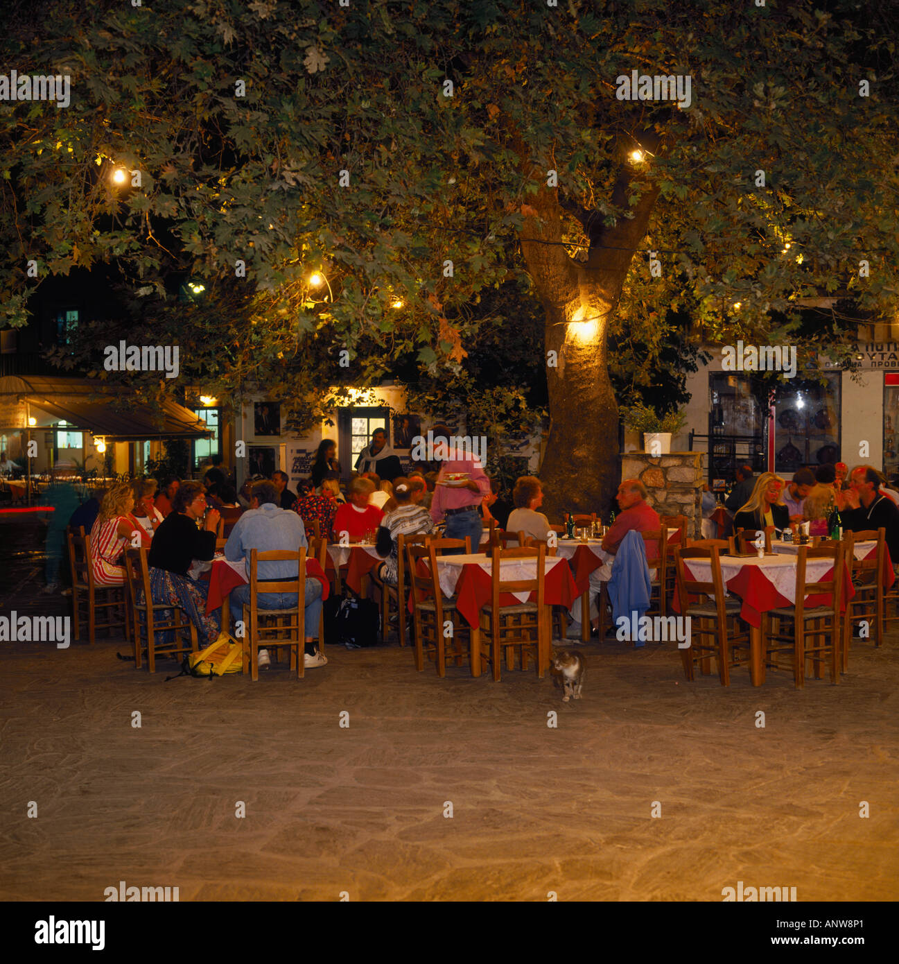 People eating outside in a square under a tree at night at a Taverna in ...