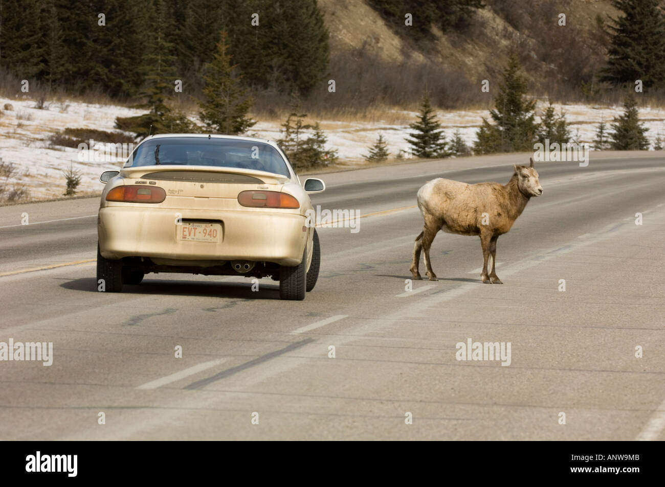Hostile road conditions hi-res stock photography and images - Alamy