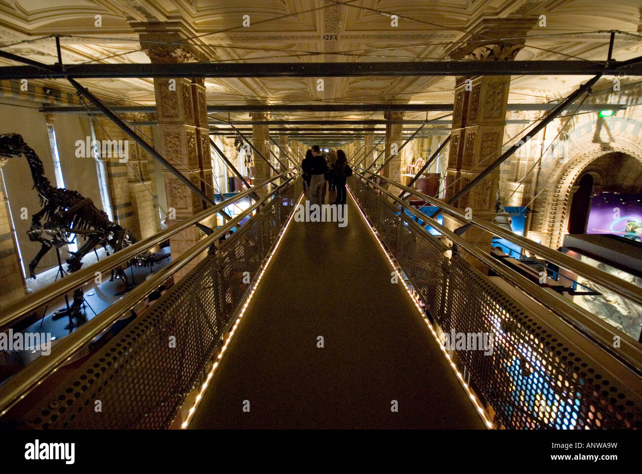 Natural History Museum dinosaurs London Stock Photo - Alamy