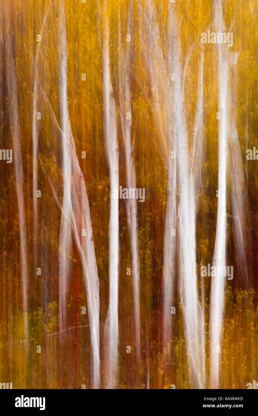 Serene backdrops hi-res stock photography and images - Alamy