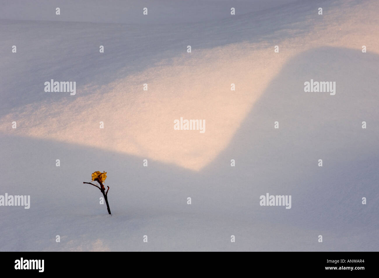 Small snow mounds hi-res stock photography and images - Alamy