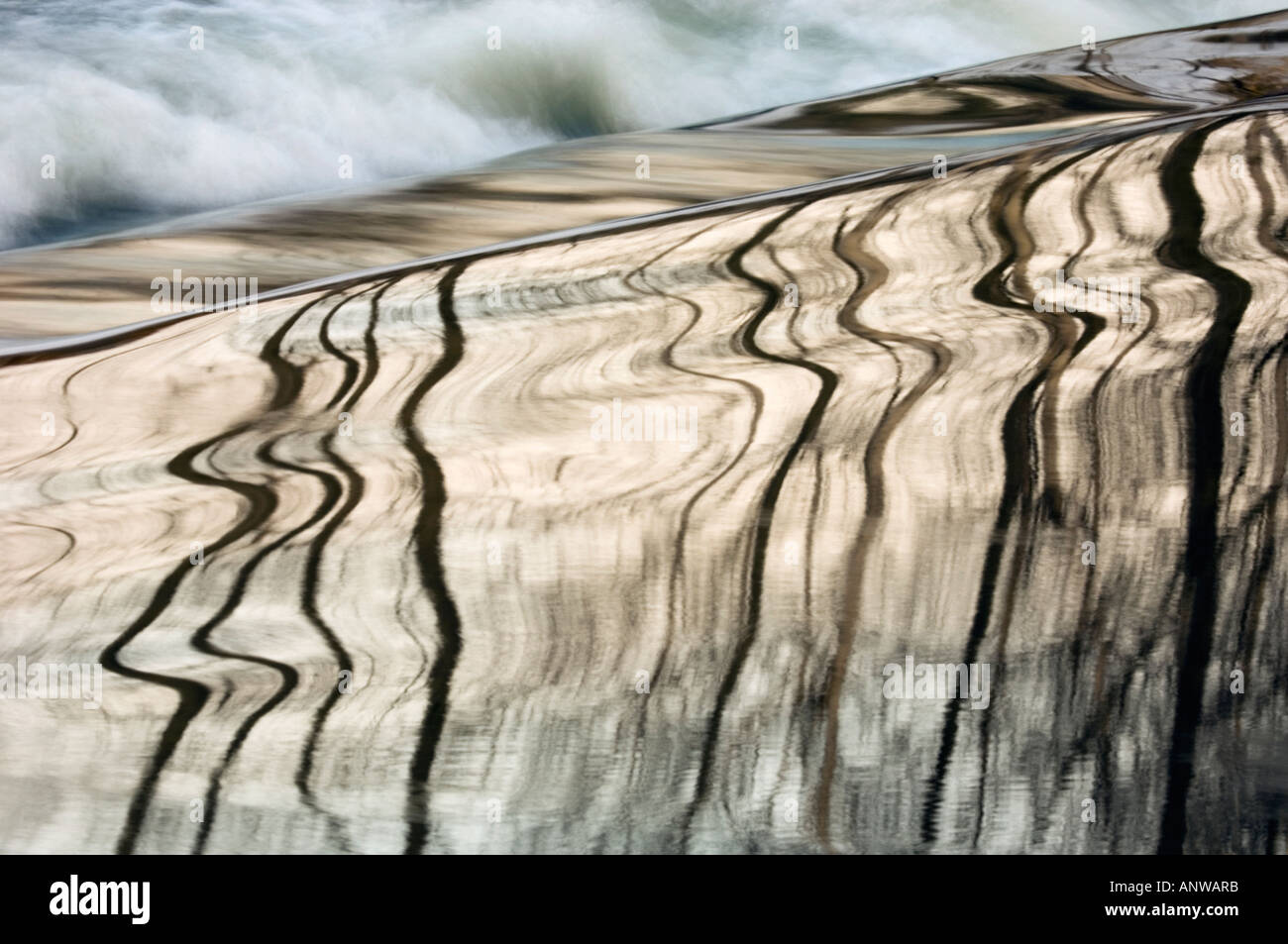 Distorted tree hi-res stock photography and images - Alamy