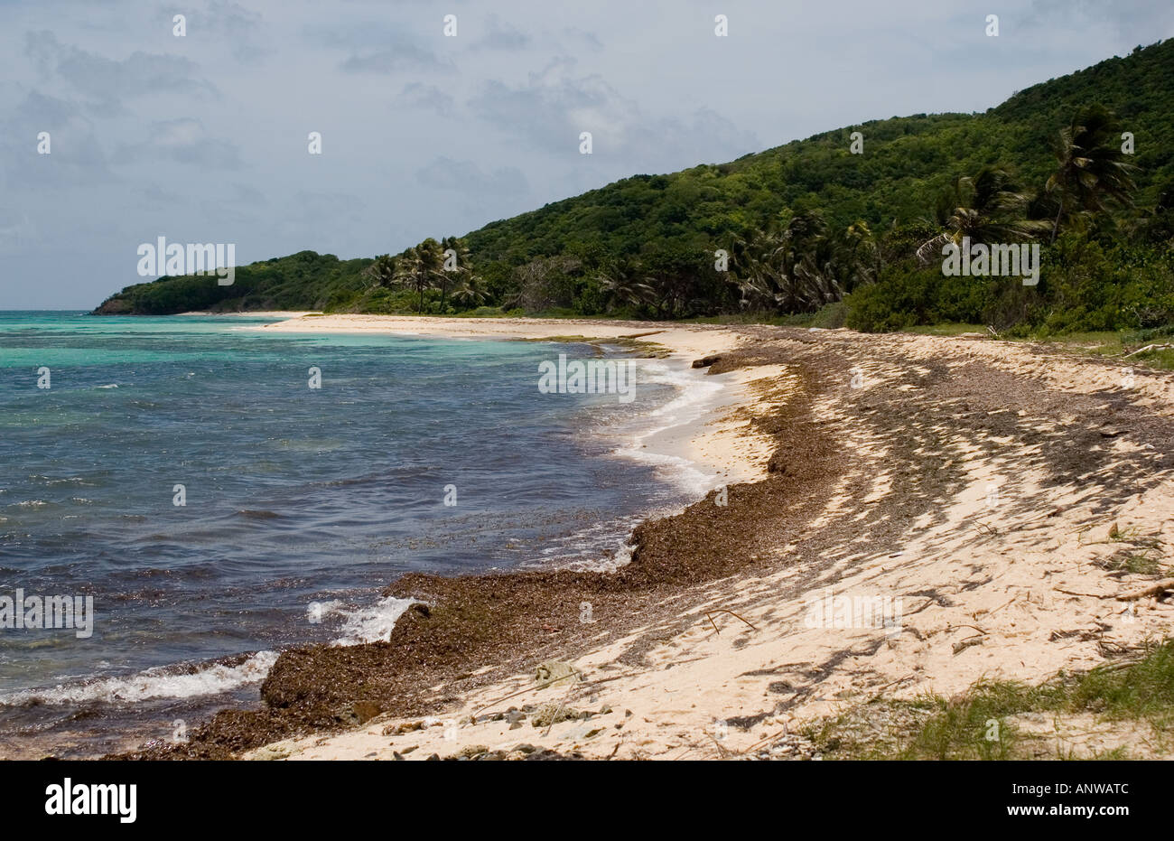 Windy Beach Caribbean Stock Photo - Alamy