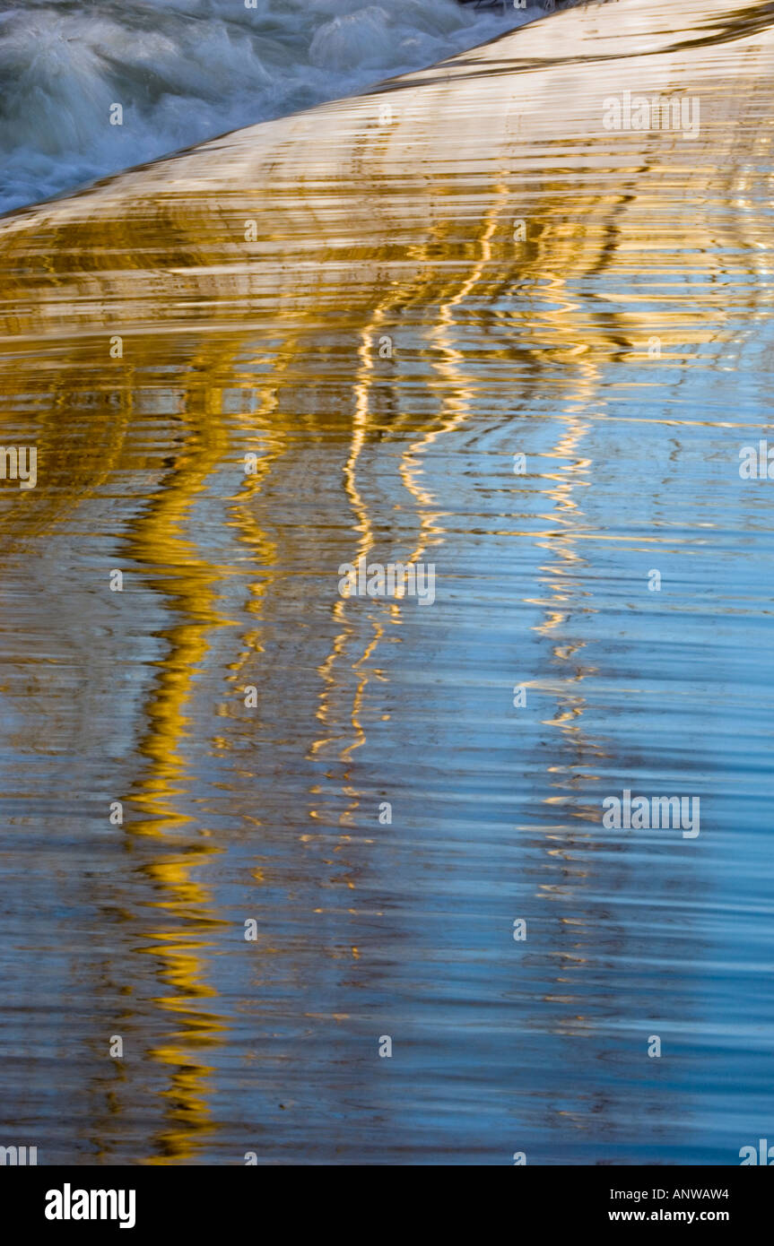 Distorted Tree High Resolution Stock Photography and Images - Alamy