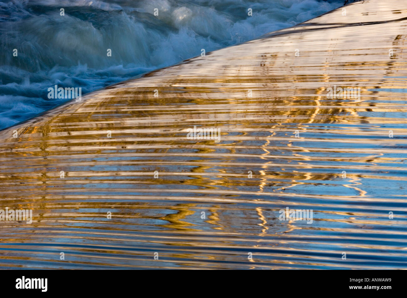 Distorted tree hi-res stock photography and images - Alamy