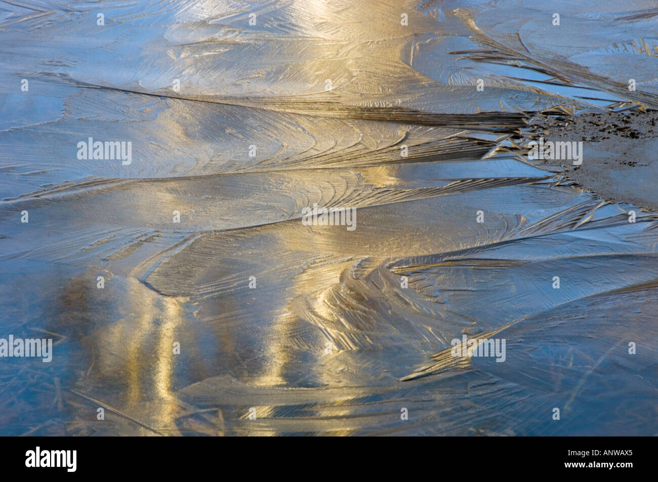 Distorted nature hi-res stock photography and images - Alamy