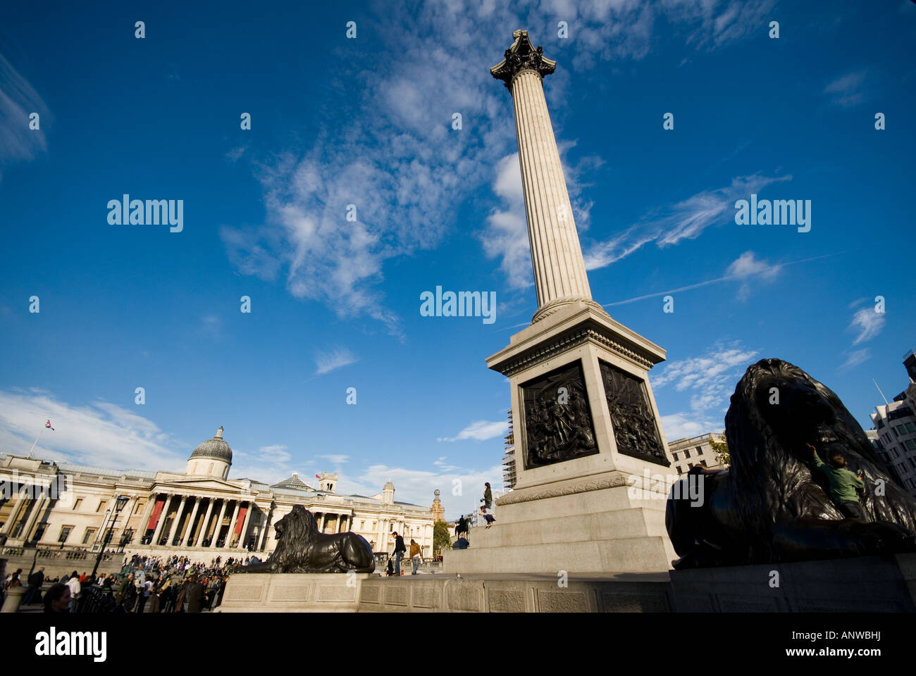 nelson victory column and national gallery in trafalgar square london ...