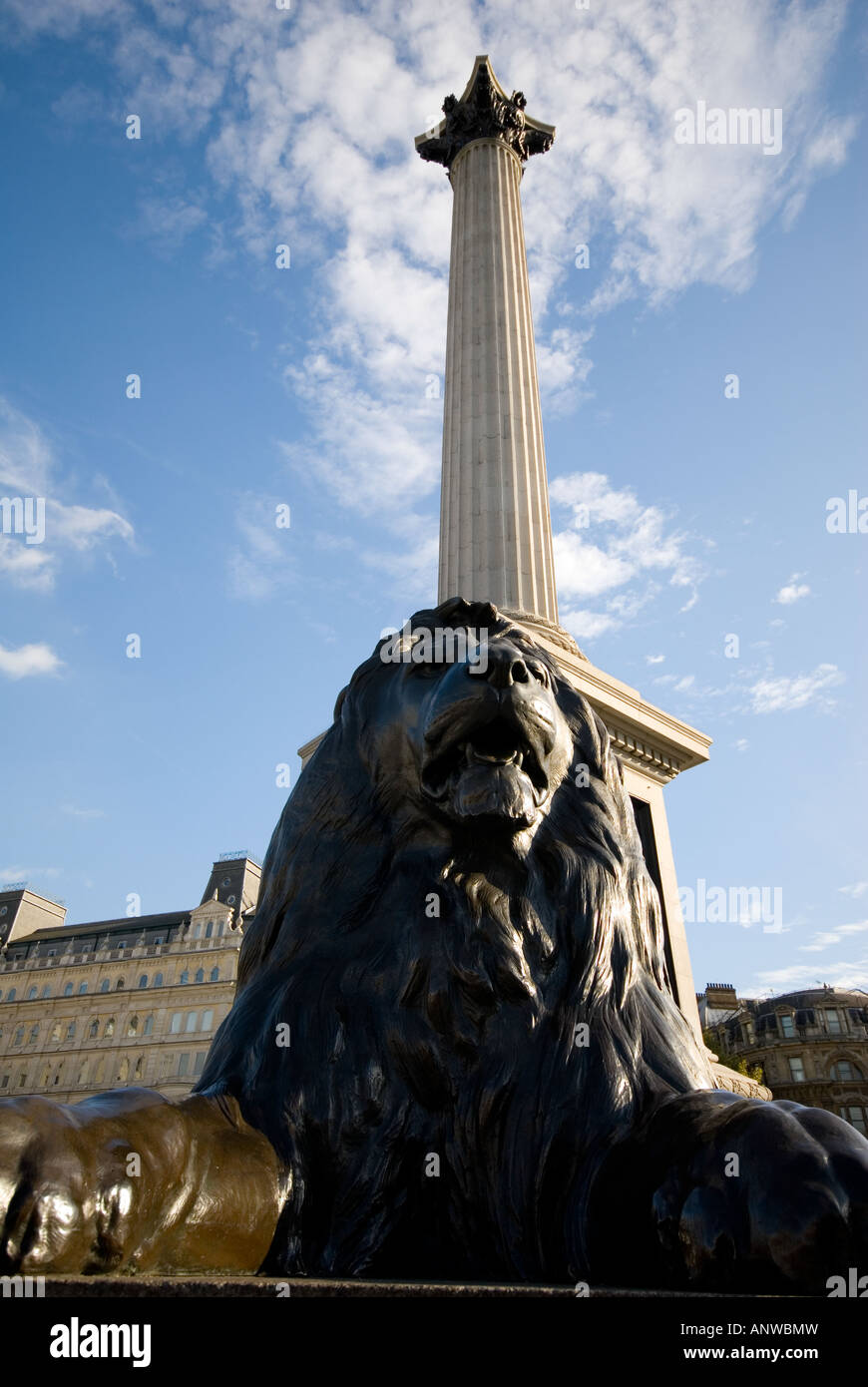nelson victory column and lion close up in Trafalgar Square London ...