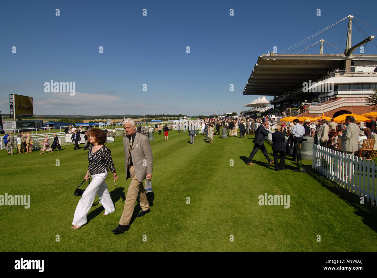 Goodwood races summer hi-res stock photography and images - Alamy