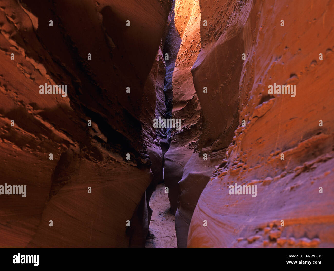 Spooky Slot canyon, Great Staircase-Escalante NP, Utah, USA Stock Photo ...