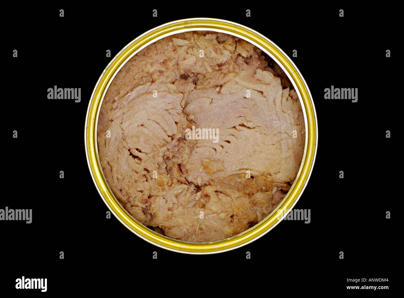 Tin of Canned Tuna Fish Viewed from Above Against a Black Background ...