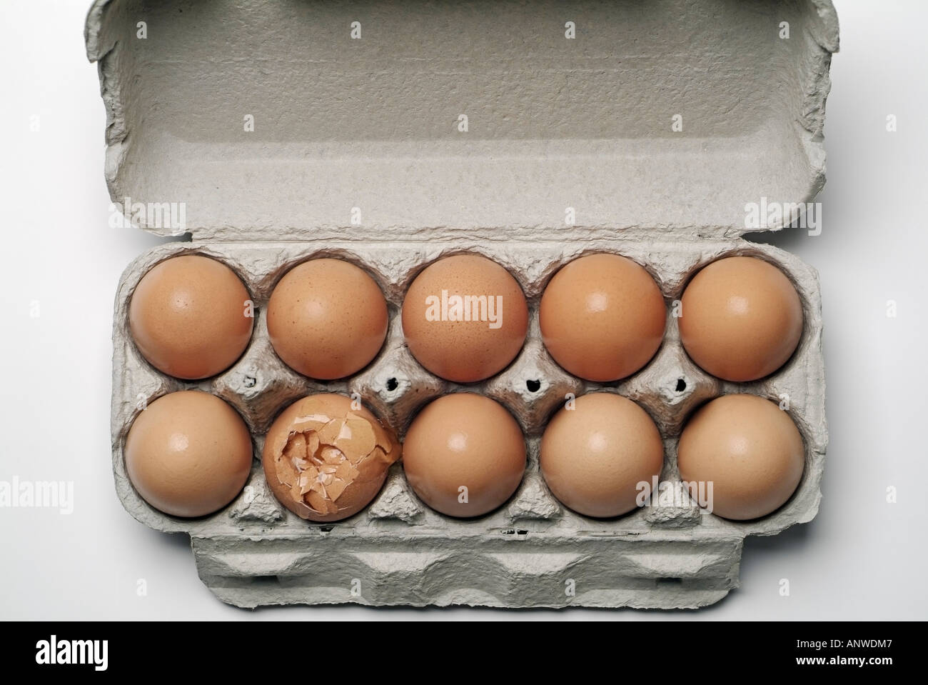Open Carton of Eggs with One Broken Egg Stock Photo - Alamy
