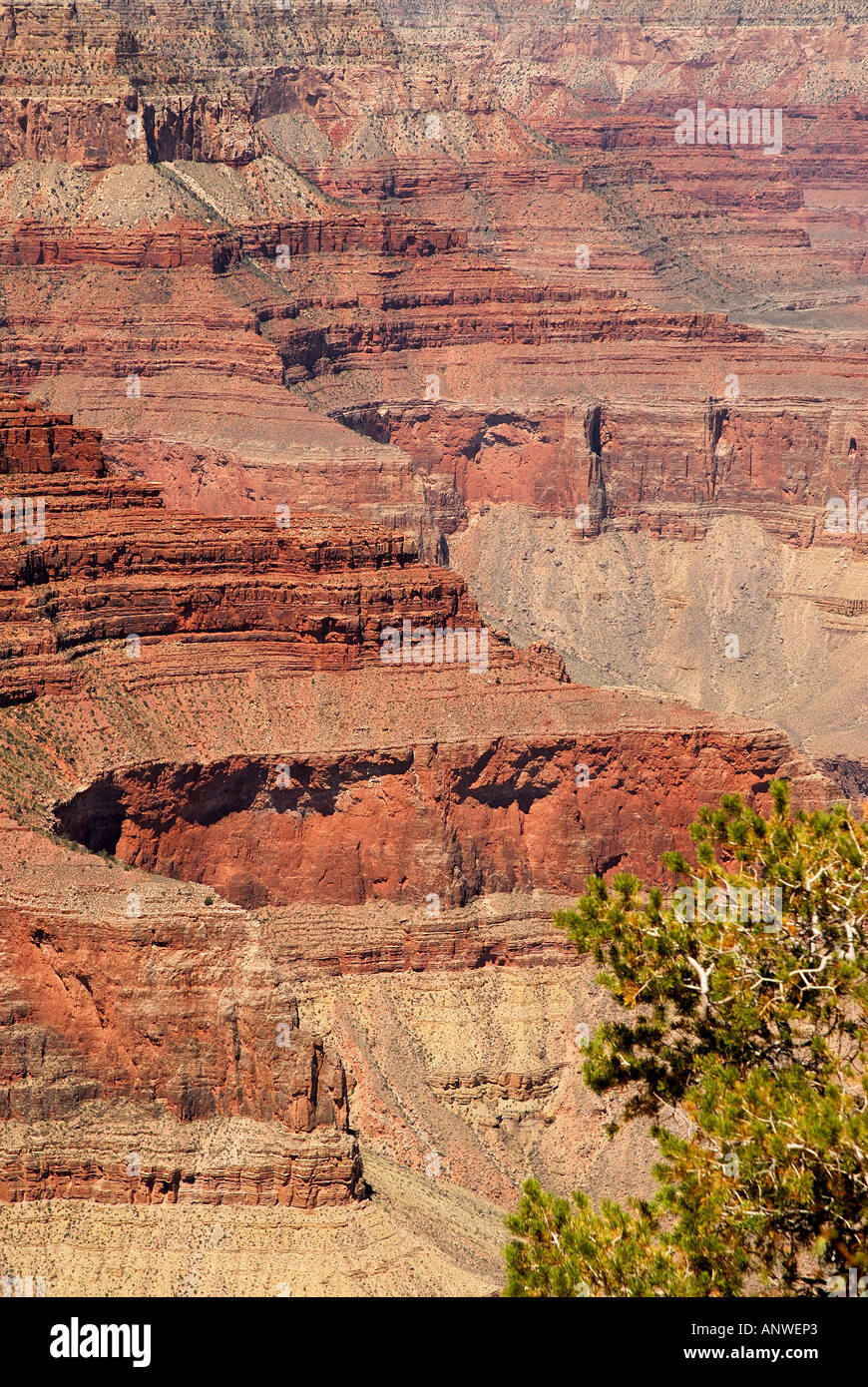 Arizona Grand Canyon National Park erosion strata Stock Photo - Alamy