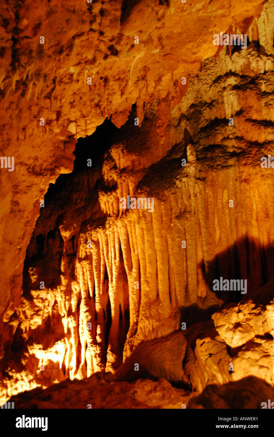 Florida Caverns State Park underground formation Stock Photo - Alamy