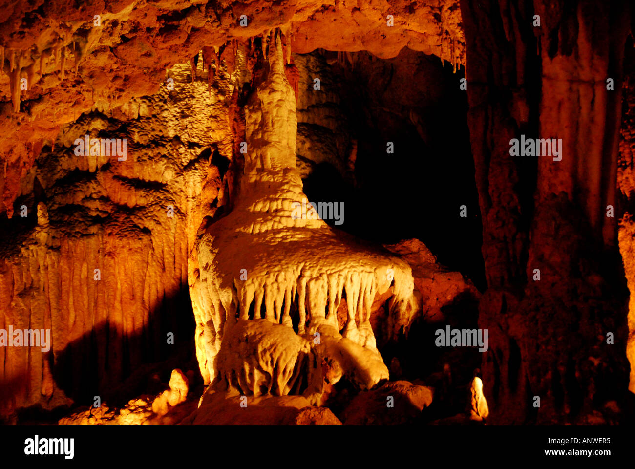 Florida Caverns State Park underground formation wedding cake Stock ...