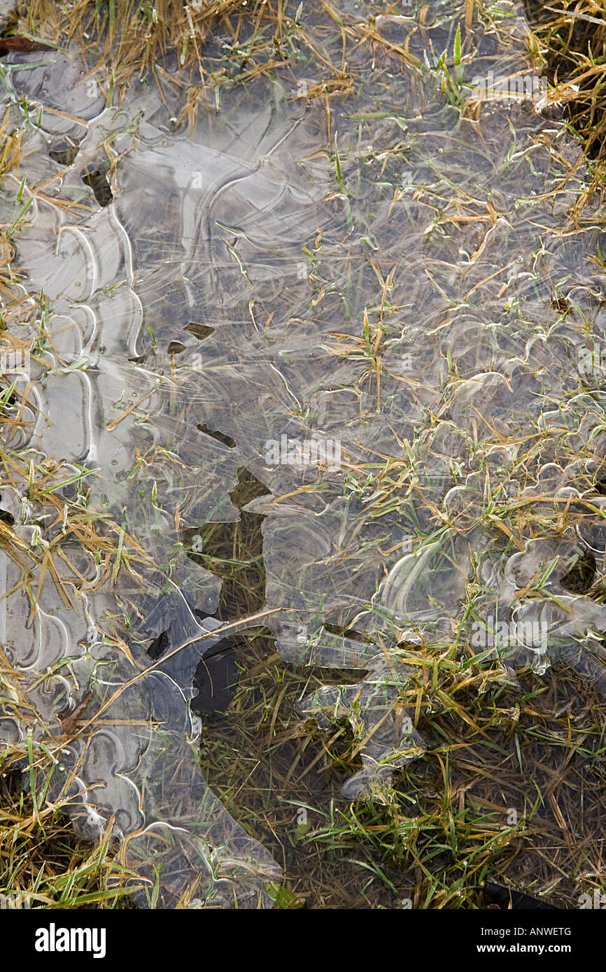 Shallow frozen pond hi-res stock photography and images - Alamy