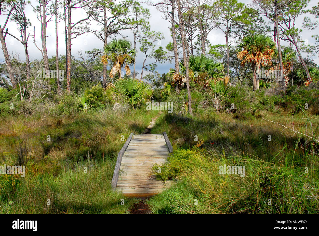 St. joseph peninsula state park hi-res stock photography and images - Alamy