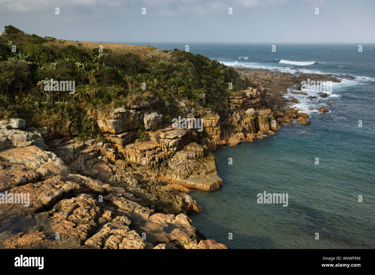 Mkambati Nature Reserve, Pondoland, Wild Coast, Eastern Cape, South ...
